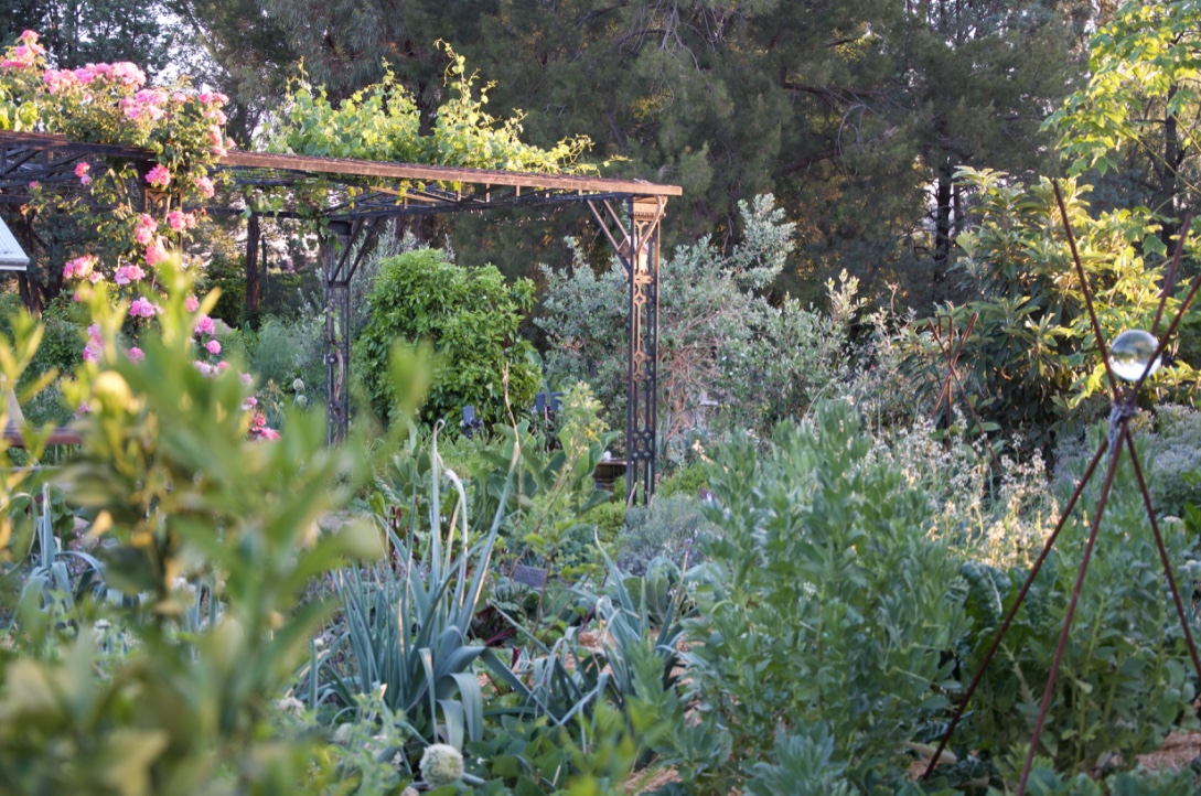 Food Forest Garden - The River House - Exceptional Natural Food